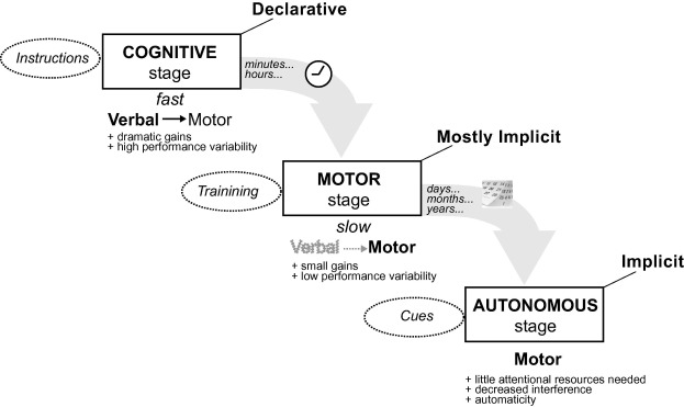 Basic Principles of Motor Learning and Skill Acquisition :: Introductory Kinesiology PSK 4U